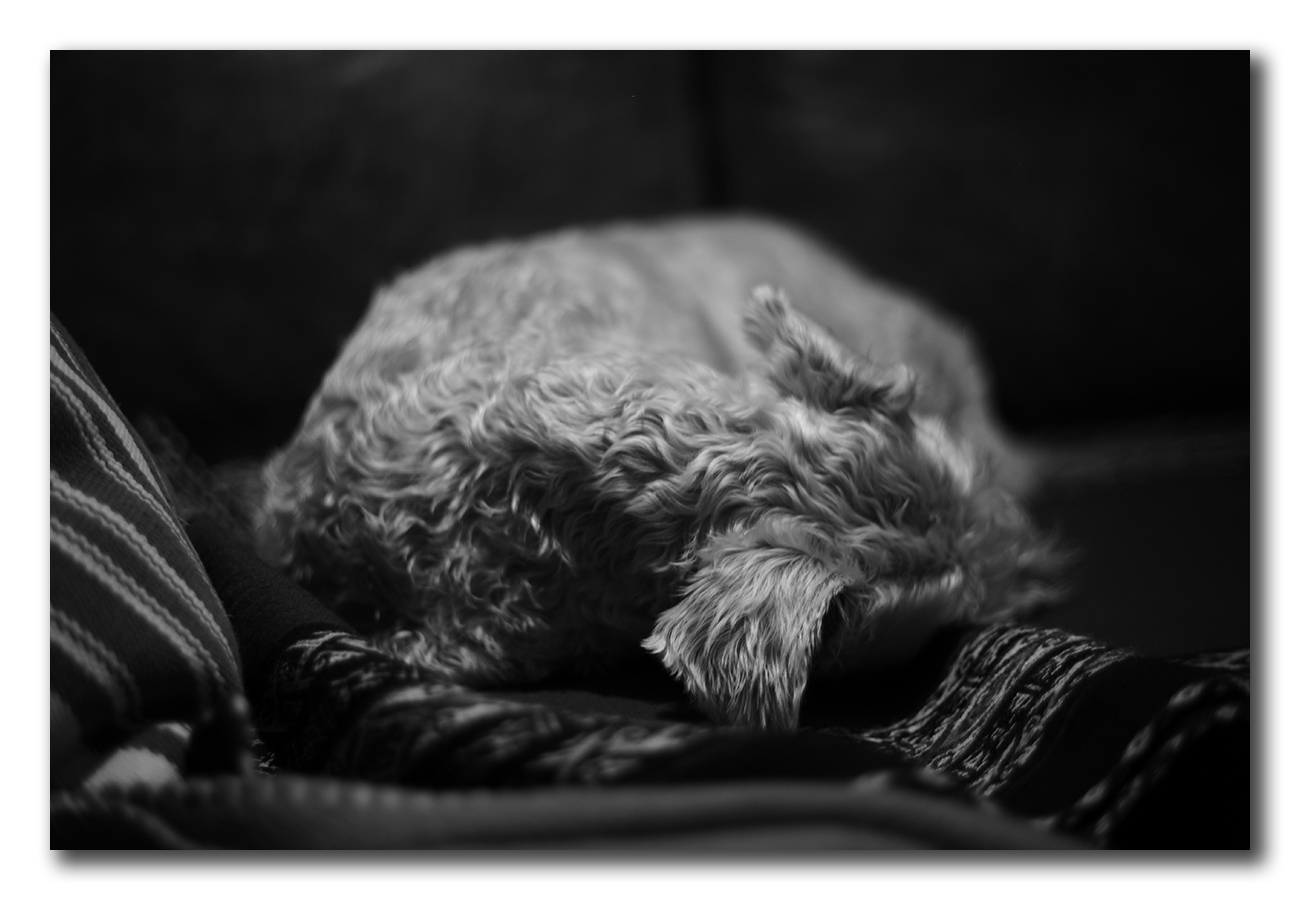 November – worst month of the year… | Welcome to Rune Østigård's blog