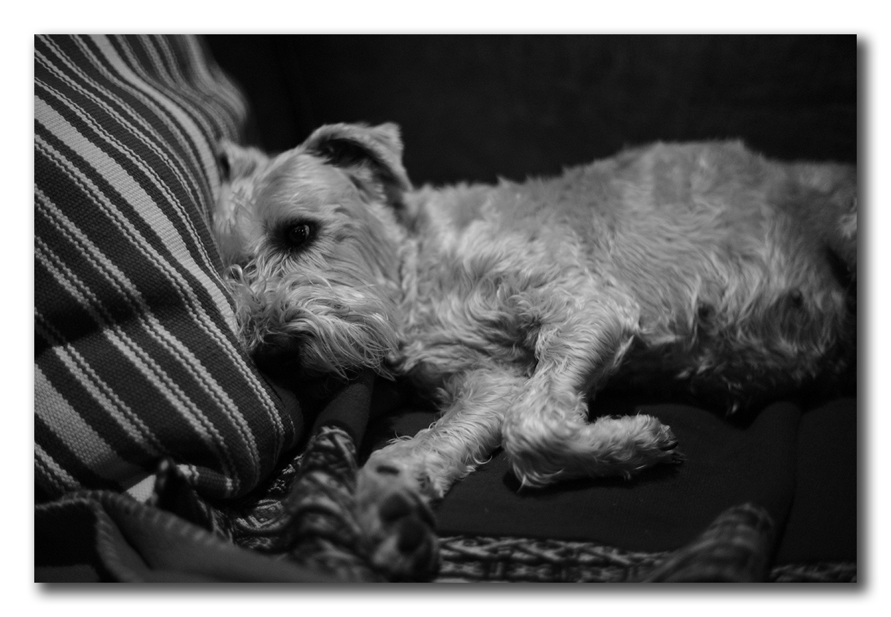 November – worst month of the year… | Welcome to Rune Østigård's blog