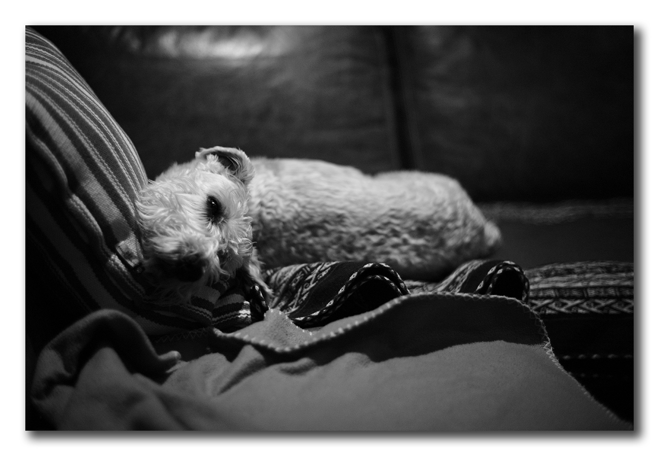 November – worst month of the year… | Welcome to Rune Østigård's blog